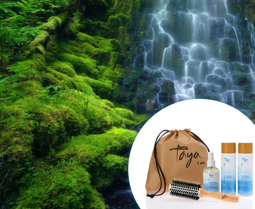 Taya Beauty | Made With the Finest Rainforest Super-Botanicals